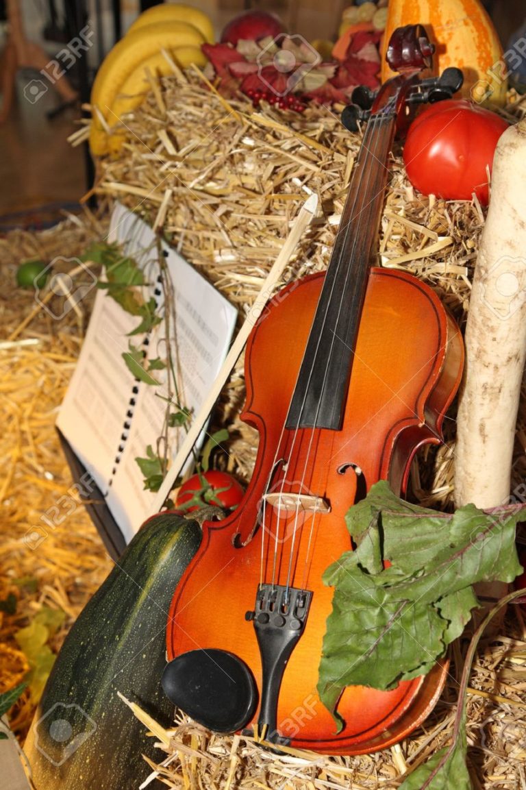 5710735-Violin-and-Vegetables-as-Thanksgiving-Day-Decoration-Stock ...